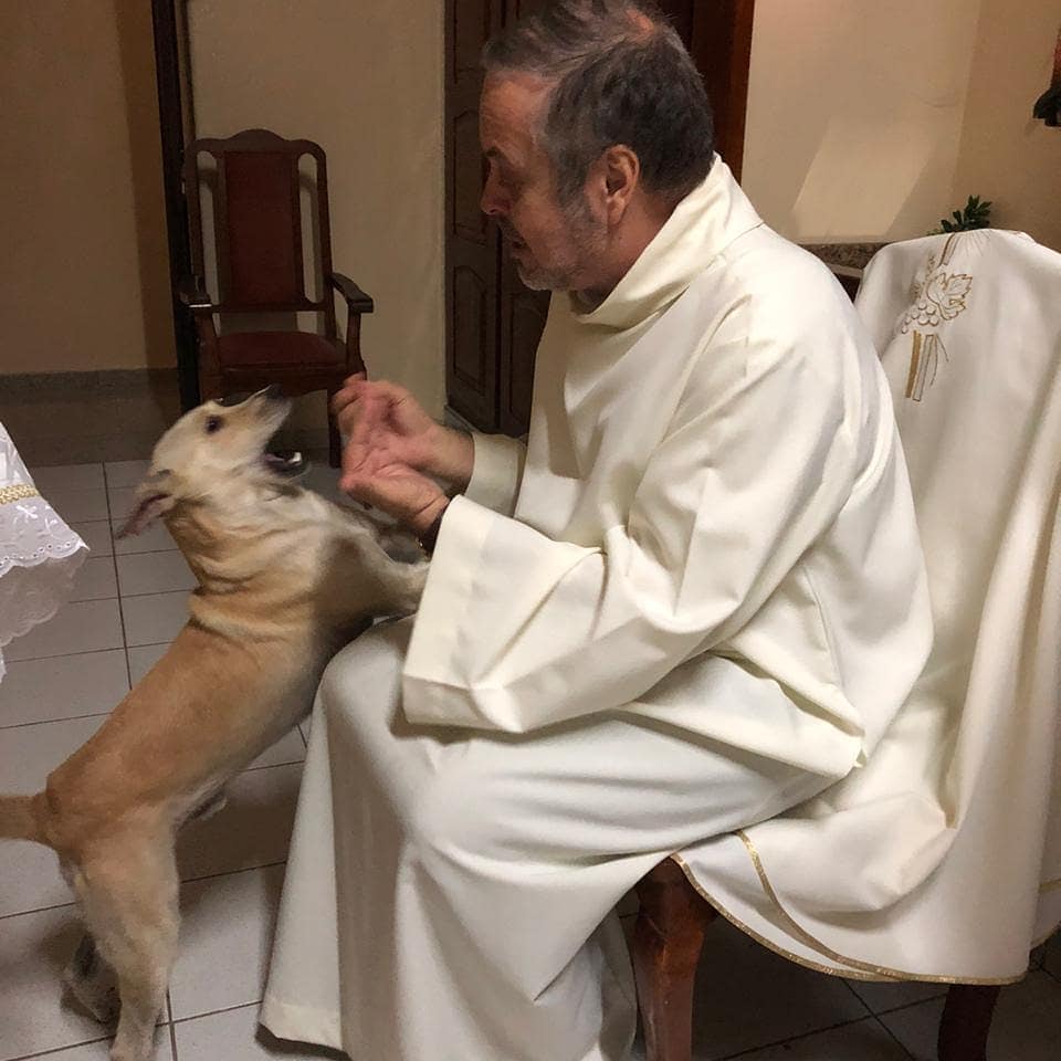 Compassionate Priest Helps Stray Dogs By Bringing Them To Mass So They ...