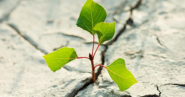 Dying and Rising | RVA