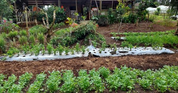 SVD Laudato Si Farm, A Place for Mission | RVA