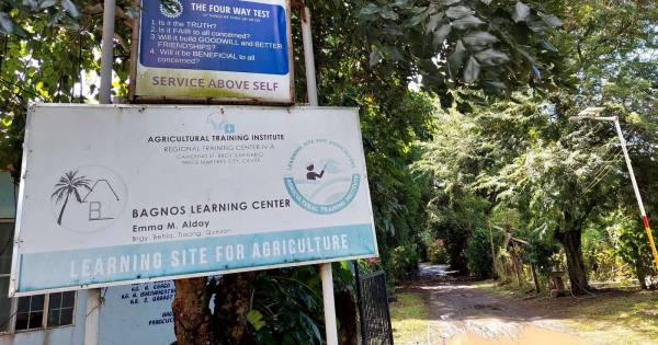 Once Upon a Seed: A Glimpse of the Life Journey of Bagnos | RVA