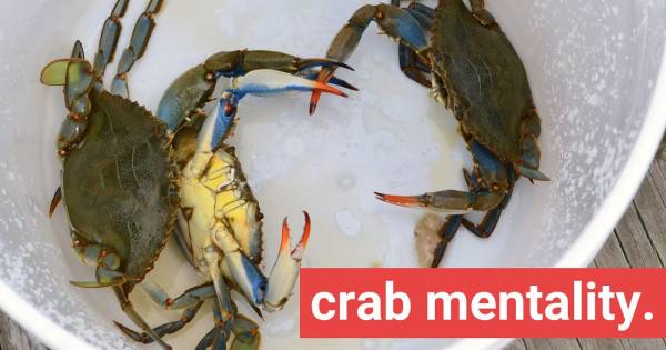 Crab Mentality | RVA