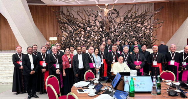 Pope emphasizes the vital role of lay participation in a humble ...