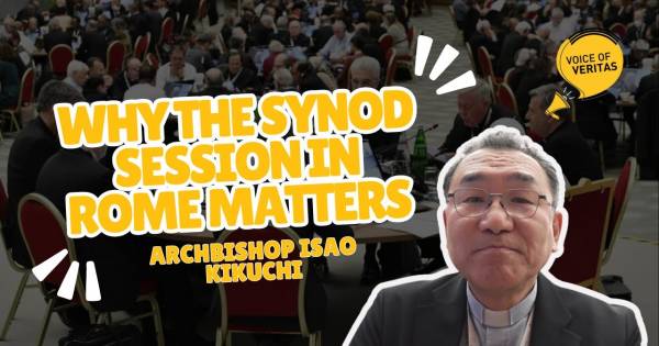 Why the Synod Session in Rome Matters? | RVA